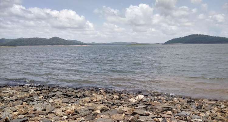 Bhadra Dam Chikmagalur (Entry Fee,Timings, History, Built by, Images ...