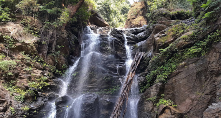 Hanumana Gundi Falls Chikmagalur (Timings, Entry Fee, Images, Best time ...