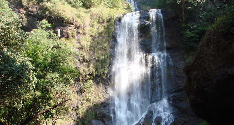 Hebbe Falls Chikmagalur (Timings, Entry Fee, Images, Best time to visit ...