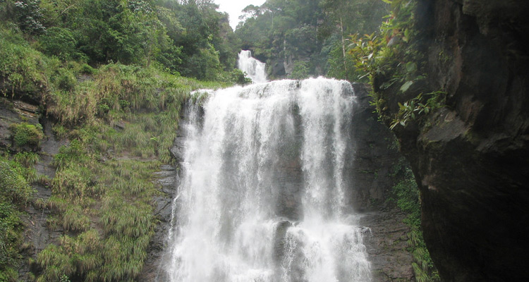 Hebbe Falls Chikmagalur (Timings, Entry Fee, Images, Best time to visit ...