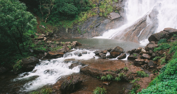 Hebbe Falls Chikmagalur (Timings, Entry Fee, Images, Best time to visit ...