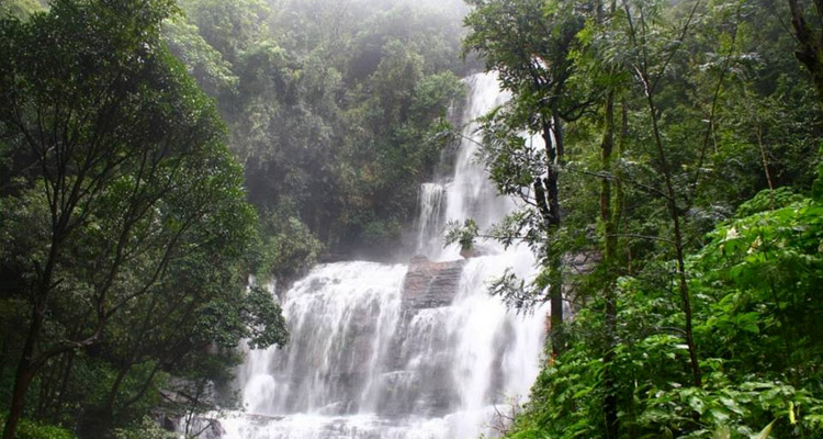Jhari Falls Chikmagalur (Timings, Entry Fee, Images, Best time to visit ...