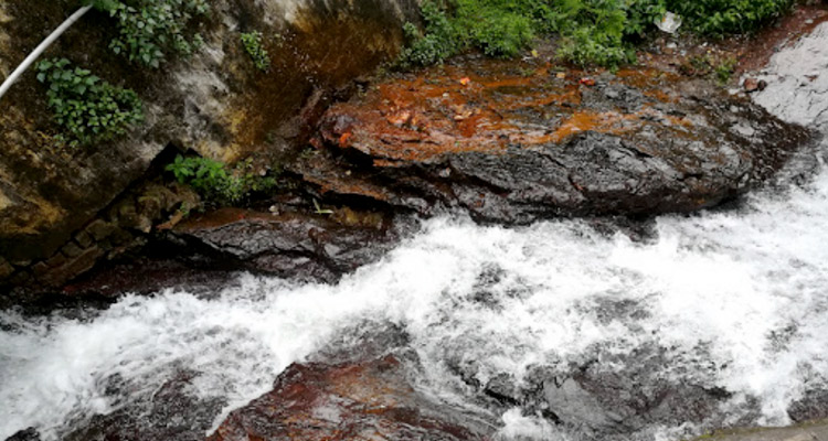 Jhari Falls Chikmagalur (Timings, Entry Fee, Images, Best time to visit ...