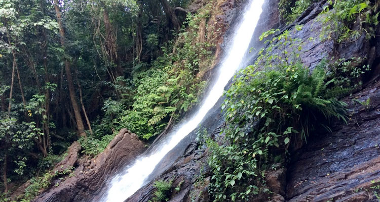 Jhari Falls Chikmagalur (Timings, Entry Fee, Images, Best time to visit ...