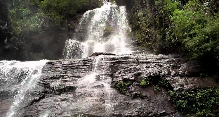 Jhari Falls Chikmagalur (Timings, Entry Fee, Images, Best time to visit ...