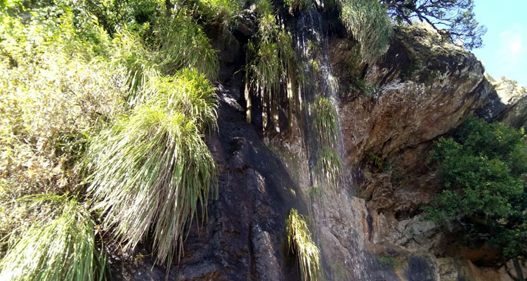Manikyadhara Falls Chikmagalur (Timings, Entry Fee, Images, Best time ...