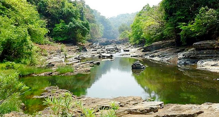 Manikyadhara Falls Chikmagalur (Timings, Entry Fee, Images, Best time ...
