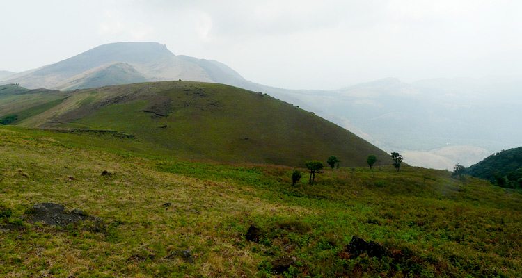 Mullayanagiri Chikmagalur (Entry Fee, Timings, Images & Location ...