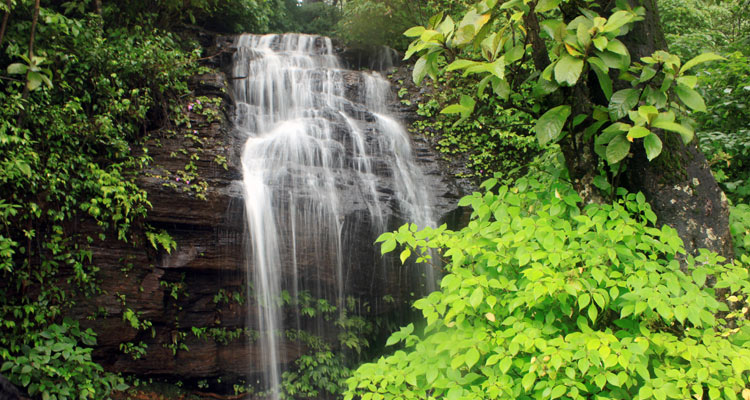 Shanti Falls Chikmagalur (Timings, Entry Fee, Images, Best time to ...